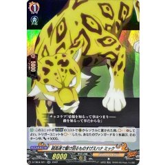 SHAMAN KING - カードラッシュヴァンガード