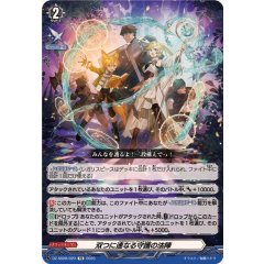 ヴァンガード通販 カードラッシュ (Page 10)